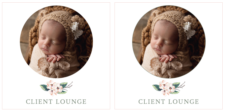 Lexington – {Metro Detroit newborn photographer} » Carrie Ferris ...